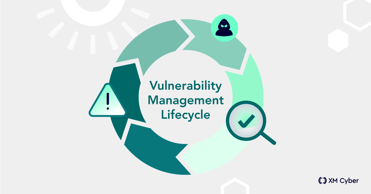 What is the Vulnerability Management Lifecycle? | XM Cyber